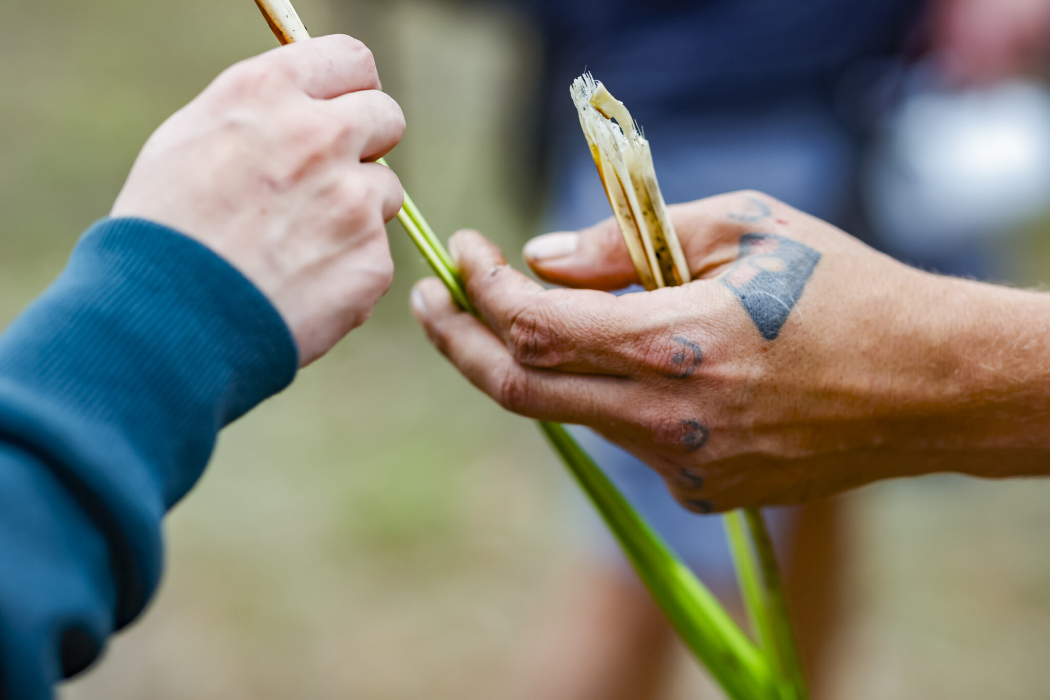 Home - Outdoor Health Australia